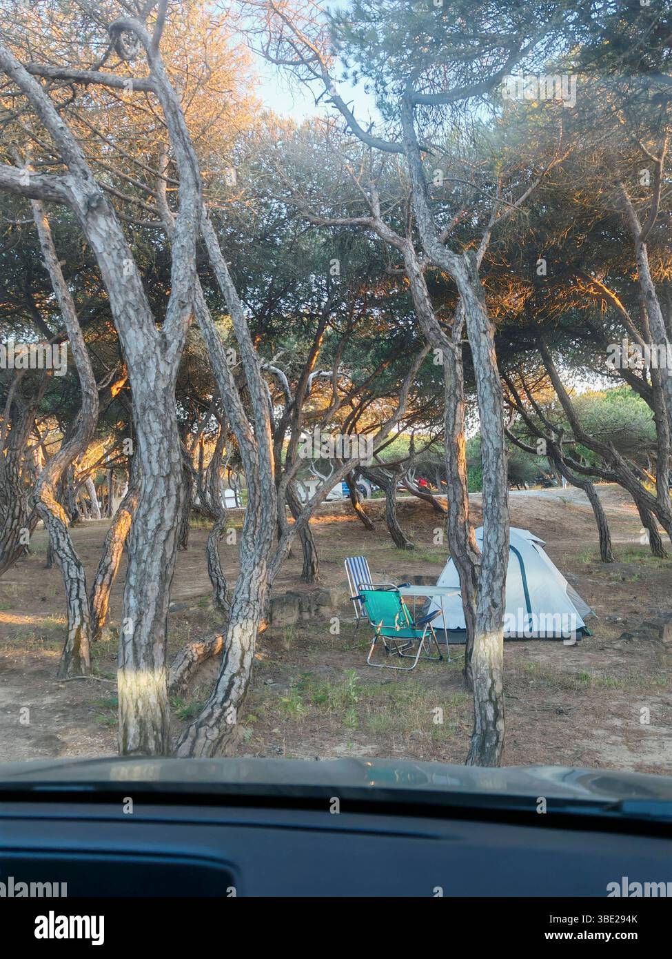 a campsite for camping and rest vacation in nature a campsite for ...