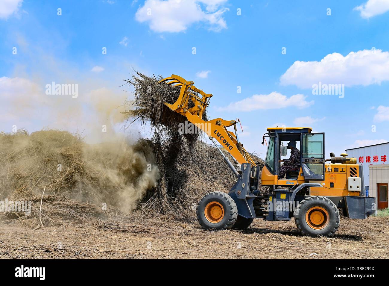 ORDOS, CHINA - MAY 27, 2025 - Agricultural machinery is turning and ...
