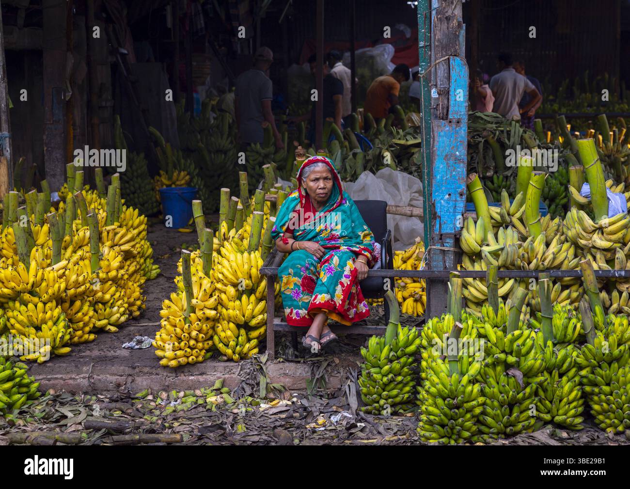 Bangladeshi old woman selling bananas in at Kawran Bazar, Dhaka ...