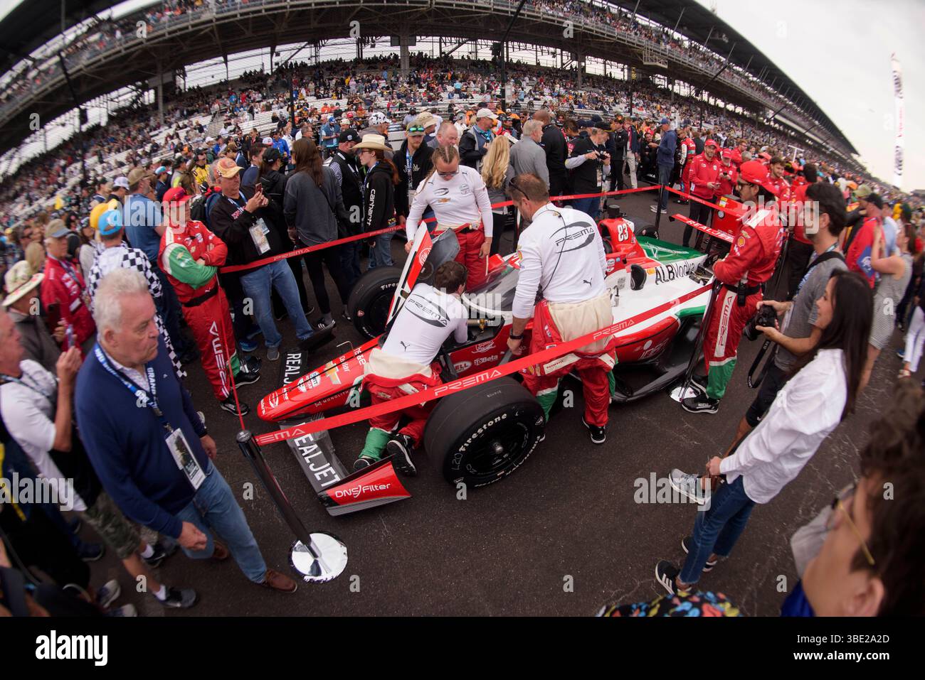 Robert schwartzman hi-res stock photography and images - Alamy