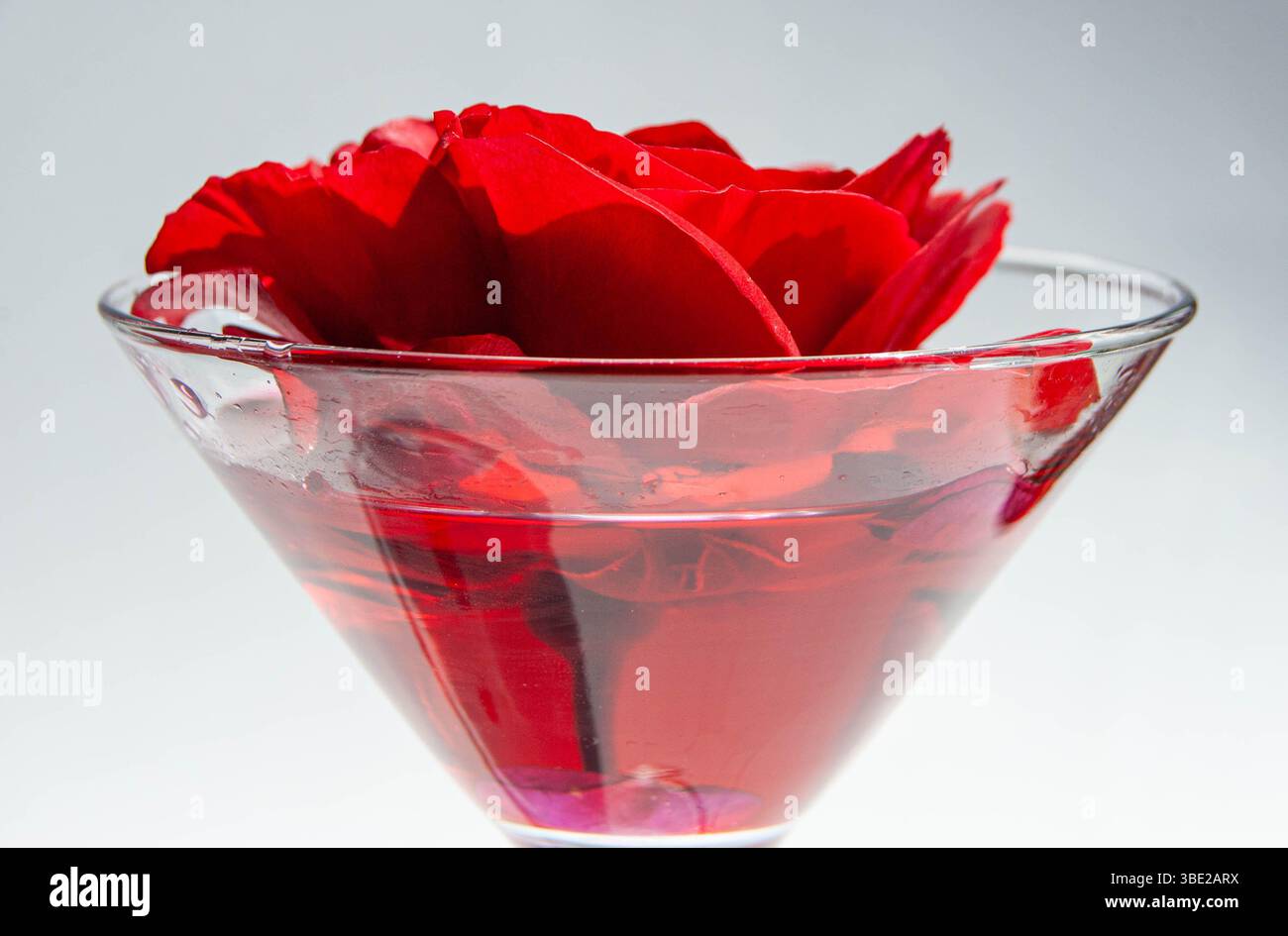 Homemade rose syrup served in a decorative glass beside a fresh rose ...