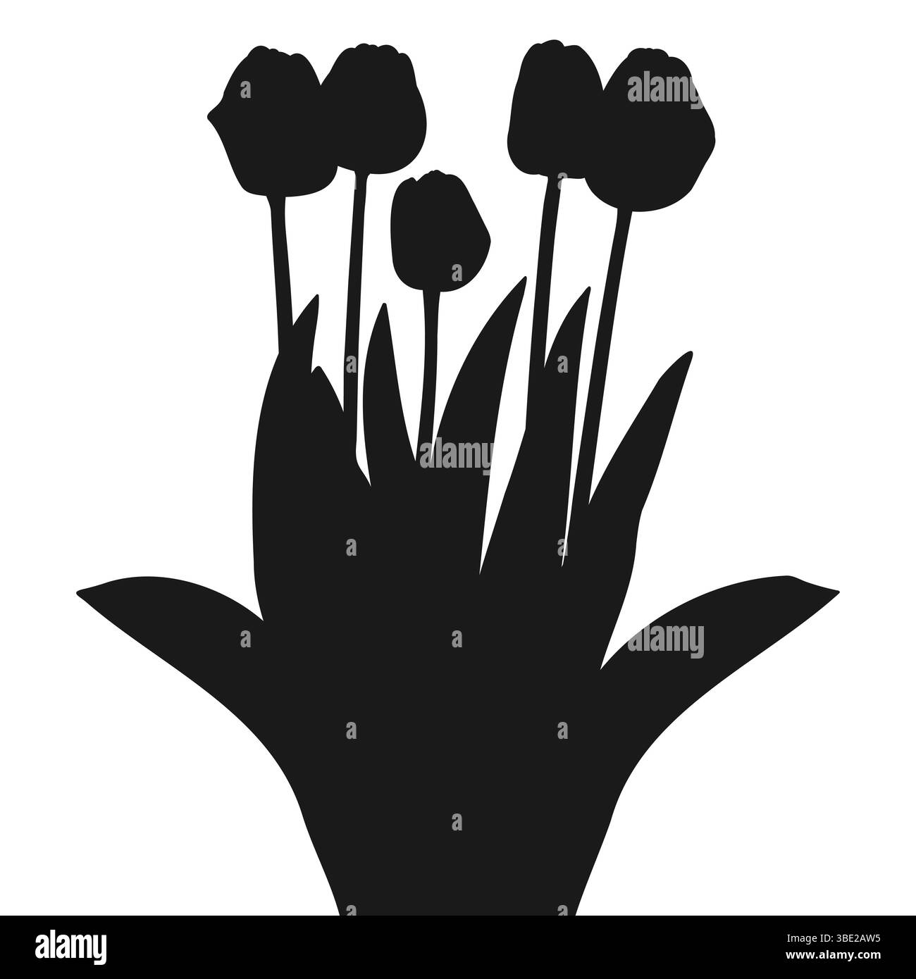 Tulip in blossom spring Stock Vector Images - Alamy