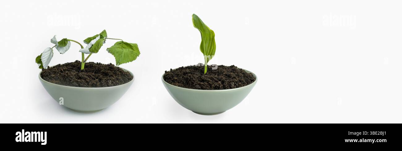 Balance between Nature and Technology. Safe the planet concept Stock ...