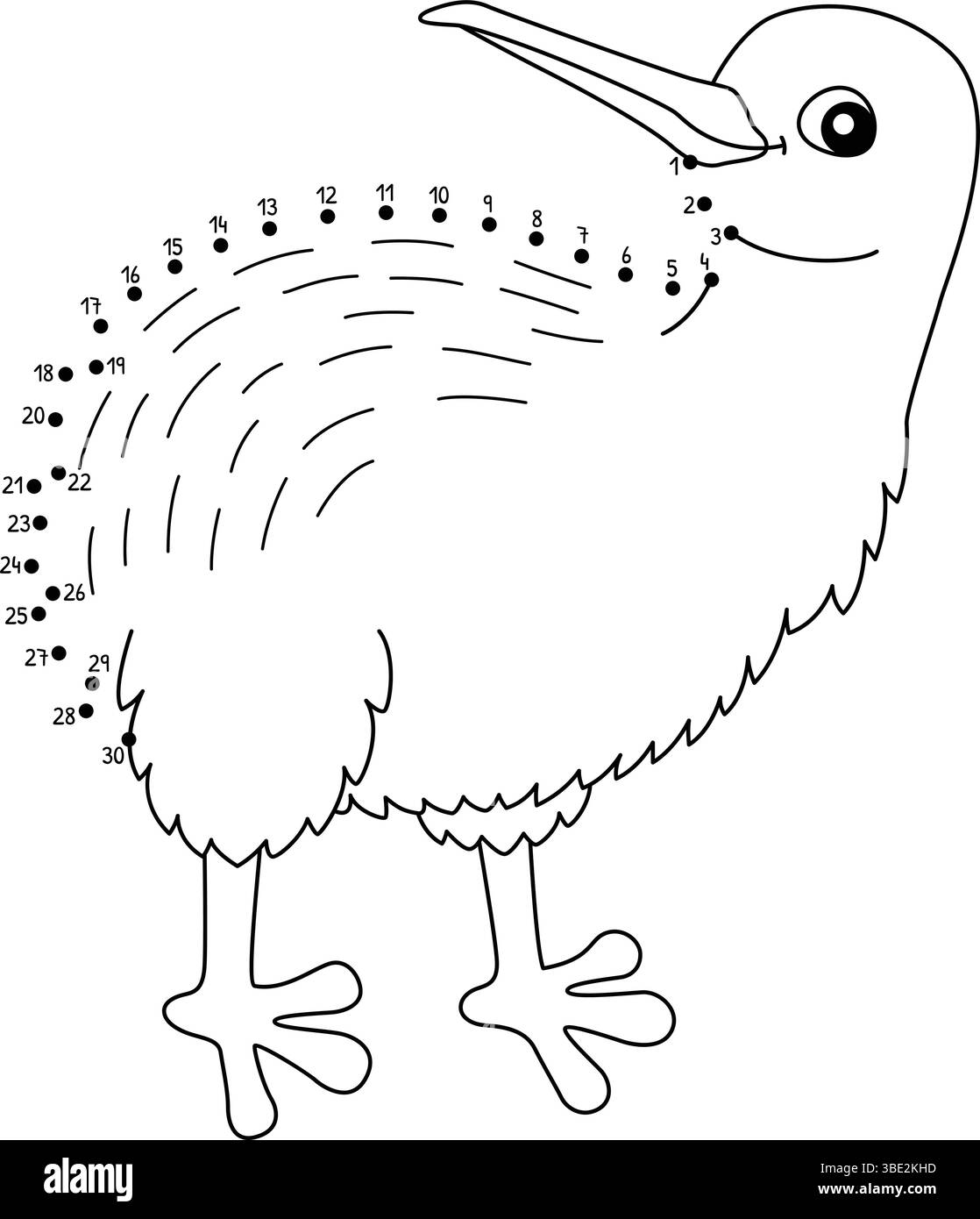 Dot to Dot Kiwi Australian Animal Isolated Stock Vector Image & Art - Alamy
