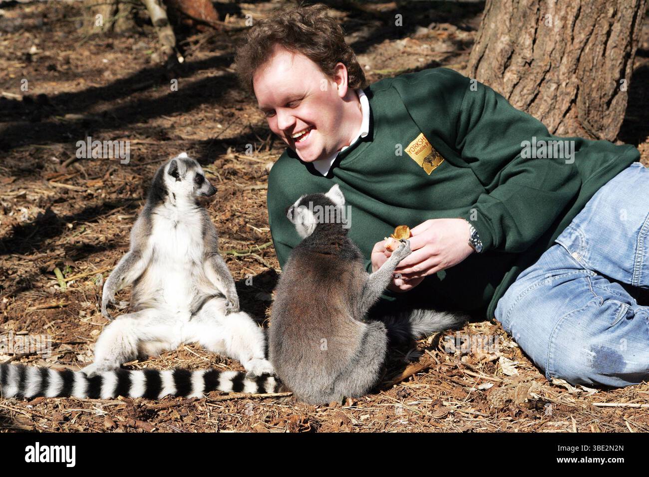 Justin Fletcher aka Mr Tumble of CBeebies with ring-tailed lemurs at ...