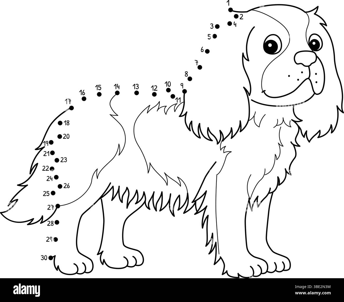 Fluffy cavalier king charles Black and White Stock Photos & Images - Alamy