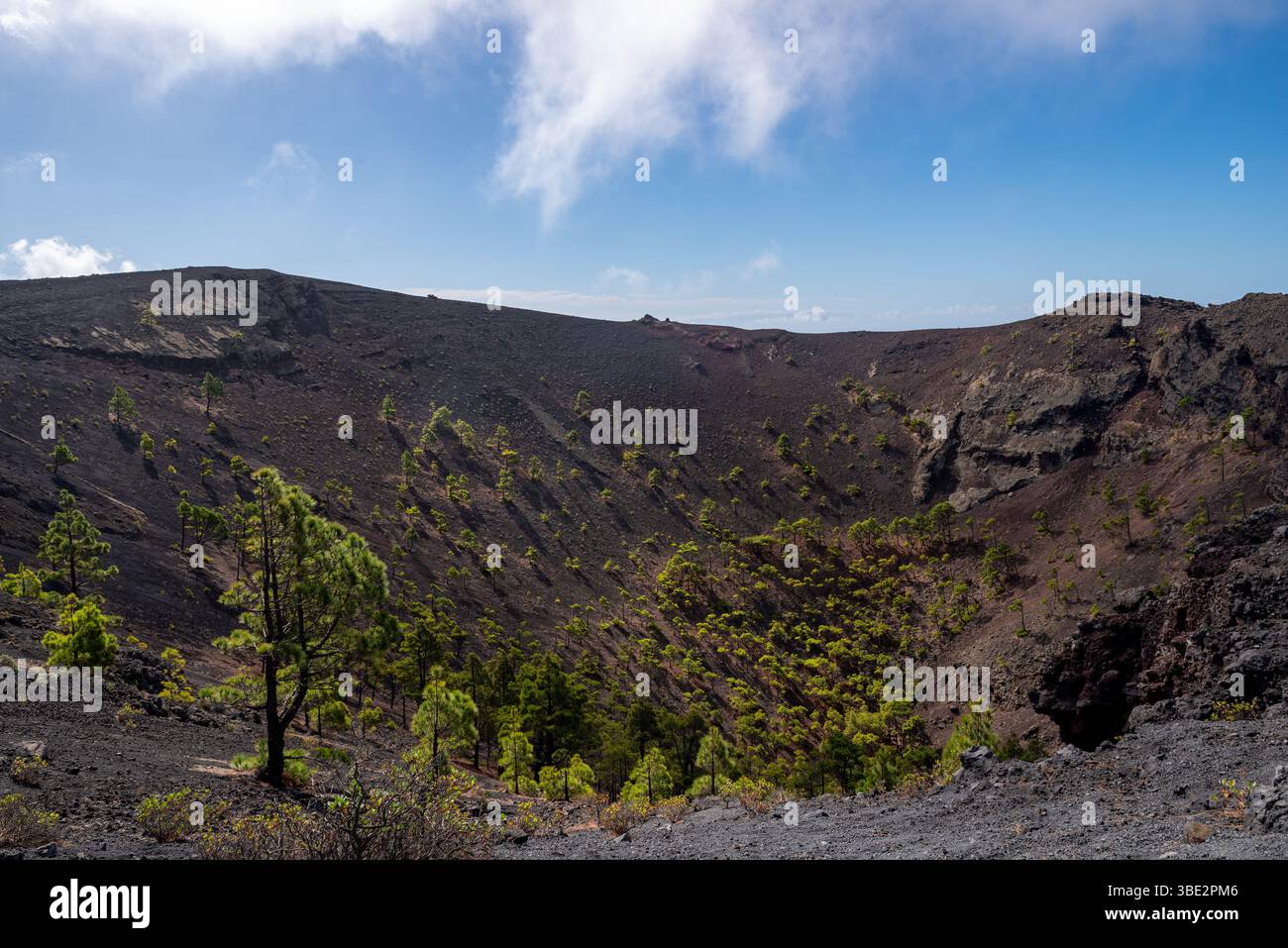 Green pine trees in the crater of the extinct volcano San Antonio on La ...