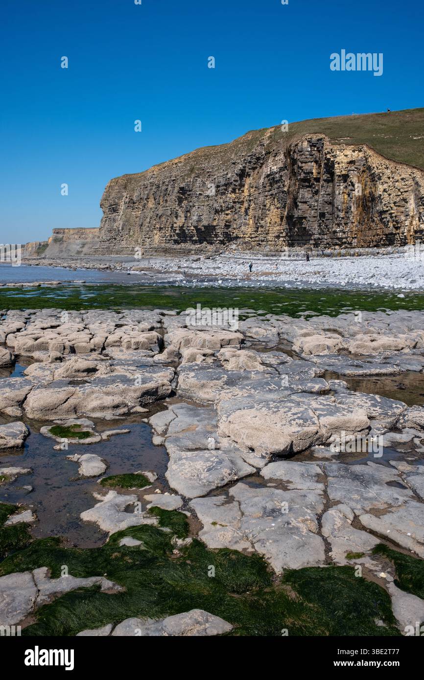 Cliffs at Monknash Beach in Glamorgan South Wales UK Stock Photo - Alamy