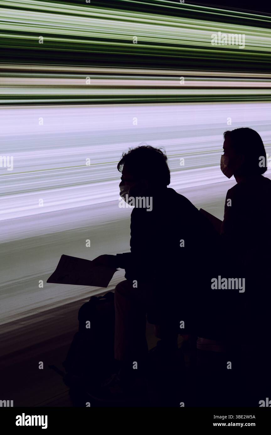 Silhouetted visitors absorb a hypnotic digital projection of motion and ...