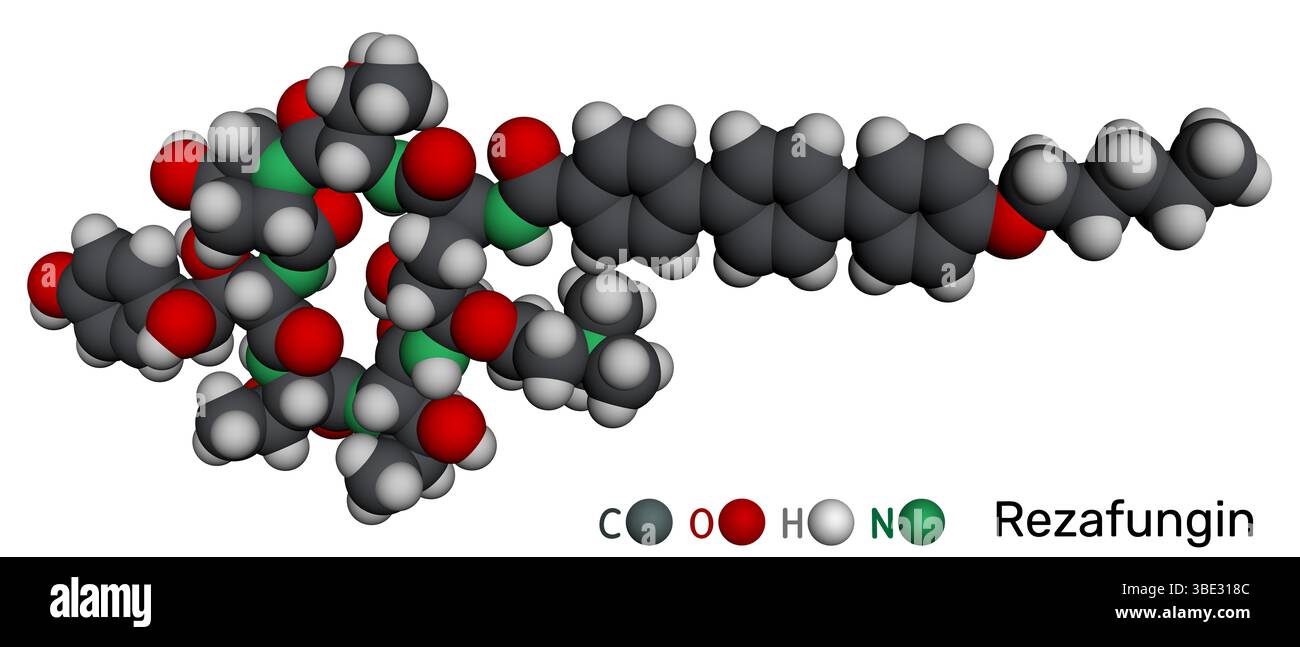 Rezafungin molecule. Antifungal cyclic lipopeptide from echinocandin ...