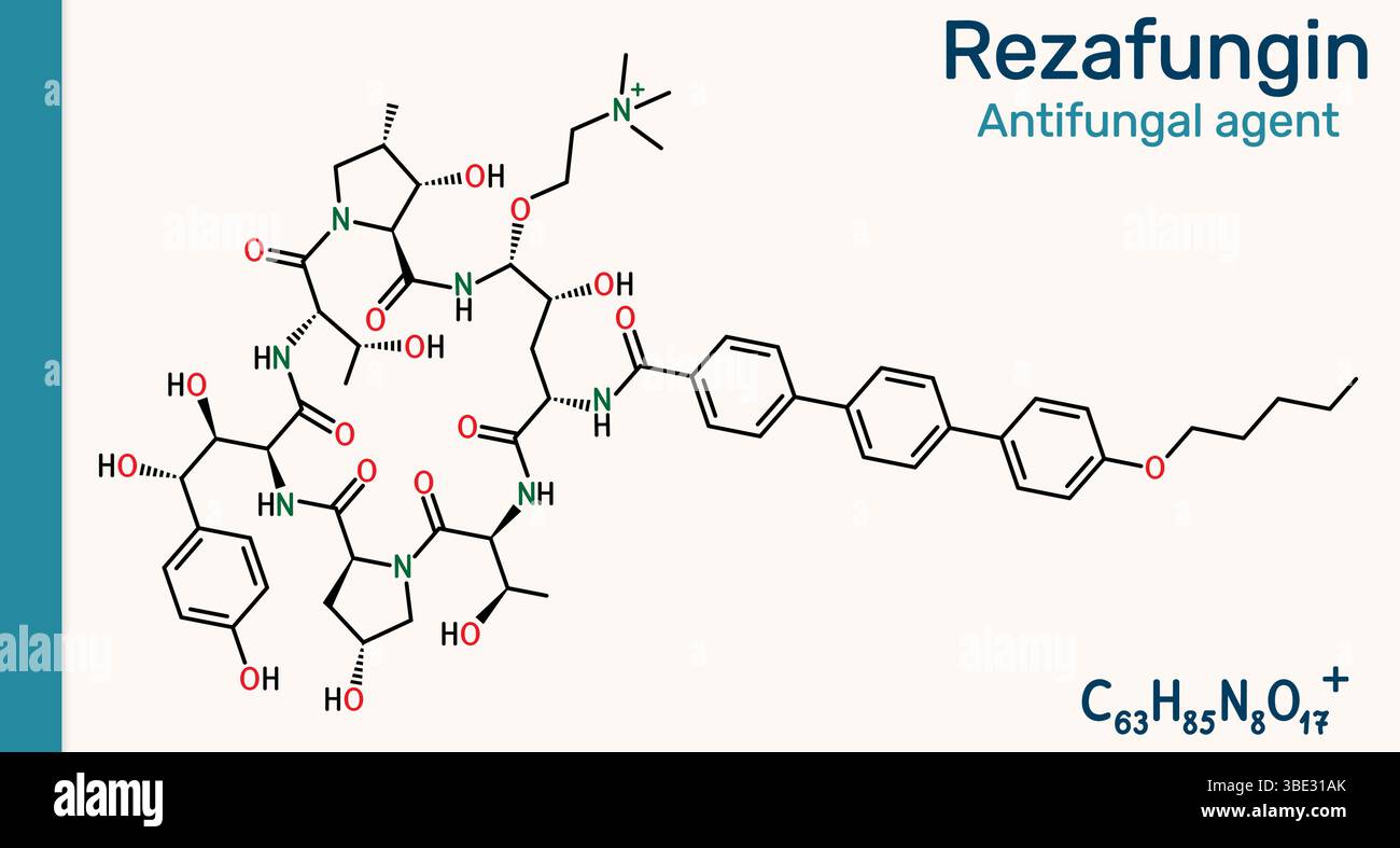 Rezafungin molecule. Antifungal cyclic lipopeptide from echinocandin ...