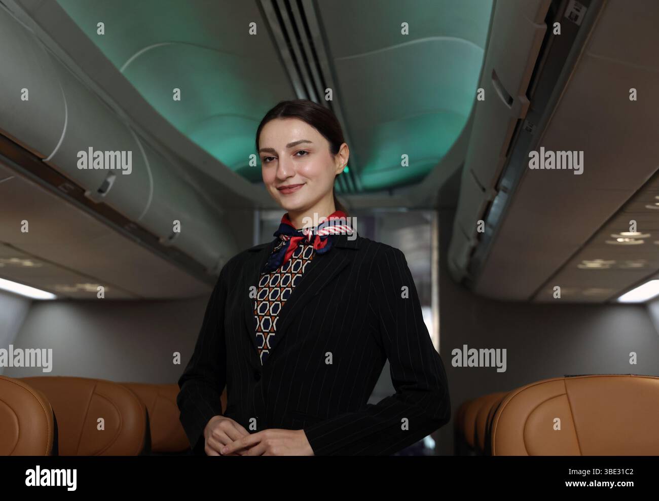 Flight attendant or Air Hostess. A friendly flight attendant stand ...