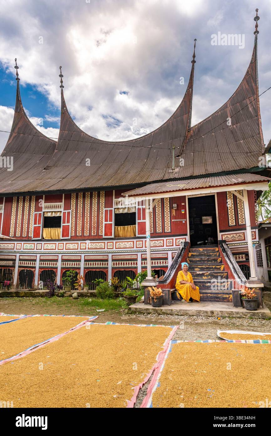 Indonesia, island of Sumatra, province of Jambi, Kerinci, village of ...