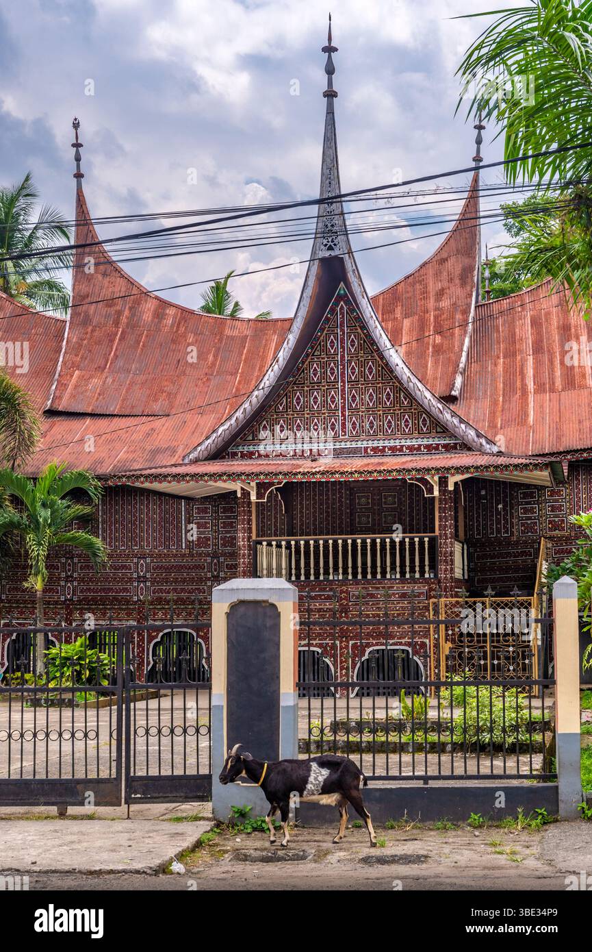 Indonesia, island of Sumatra, province of Jambi, Kerinci, village of ...