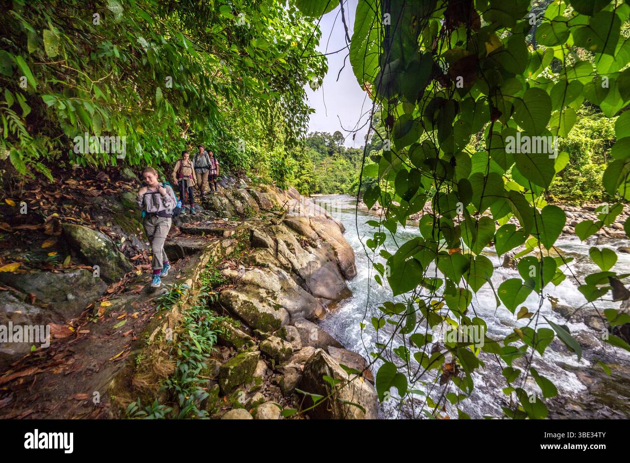 Indonesia, Sumatra island, Kabupaten Langkat, Kecamatan Bohorok, Bukit ...
