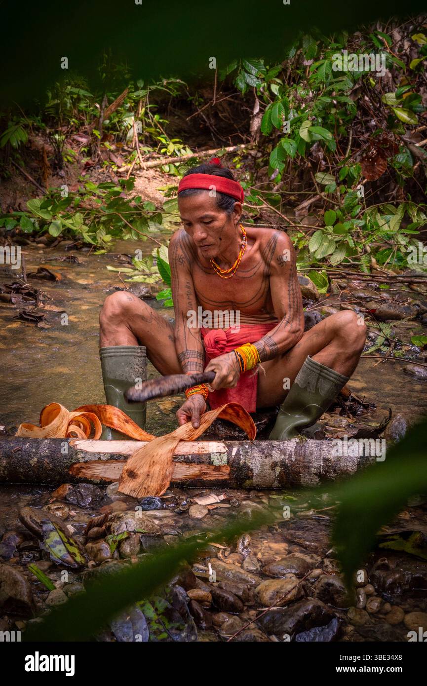 Indonesia, Mentawai archipelago, Siberut Island, Siberut National Park ...