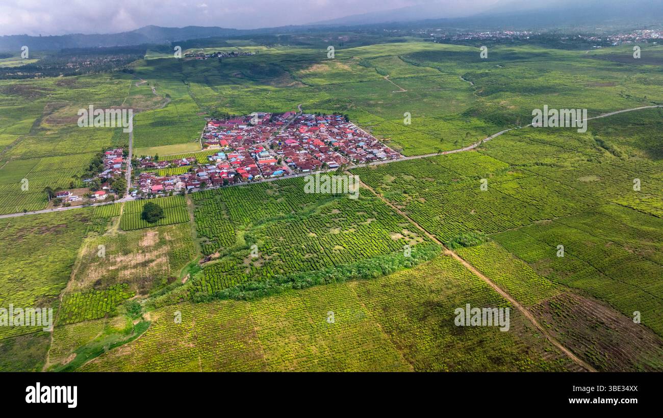 Indonesia, island of Sumatra, province of Jambi, Kerinci, village of ...