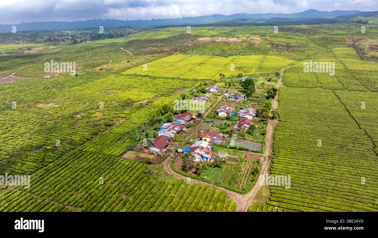 Indonesia, island of Sumatra, province of Jambi, Kerinci, village of ...