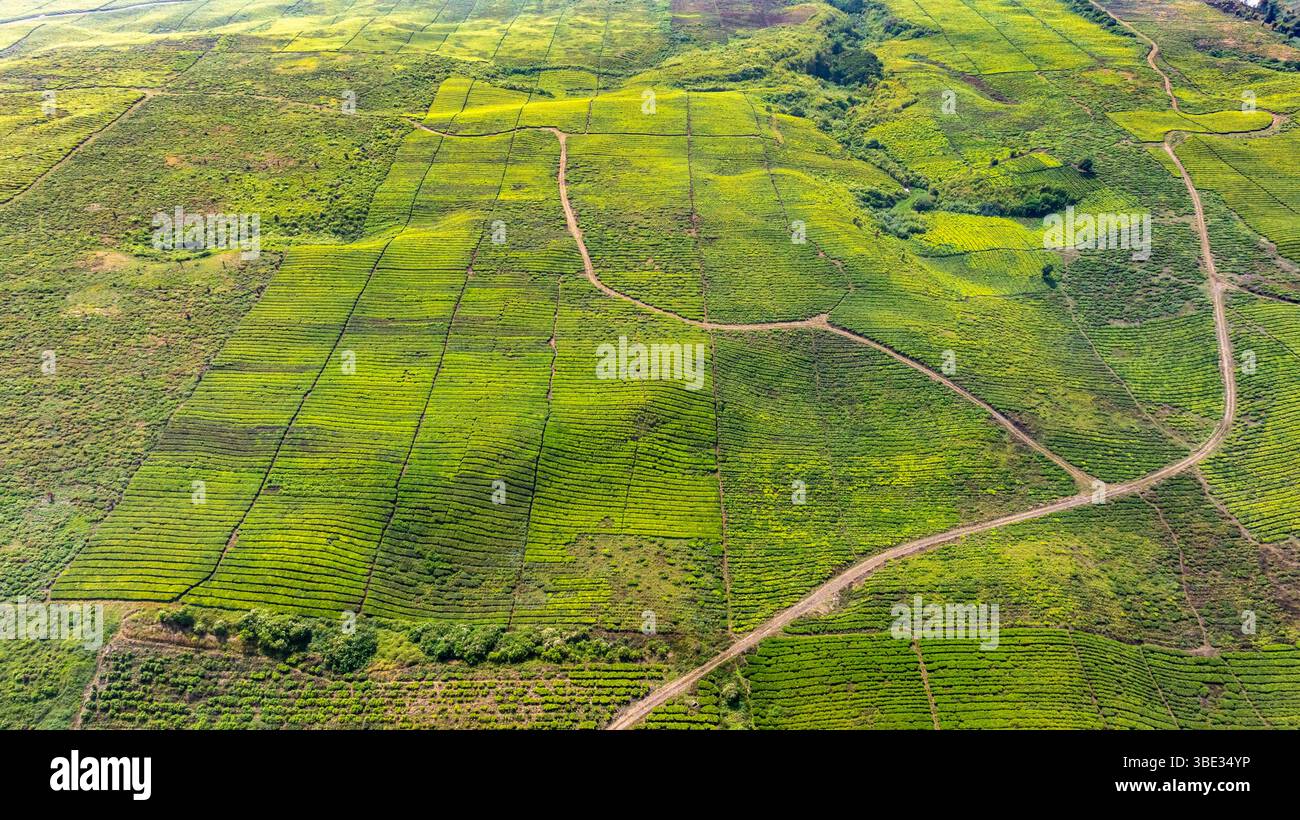 Indonesia, island of Sumatra, province of Jambi, Kerinci, village of ...