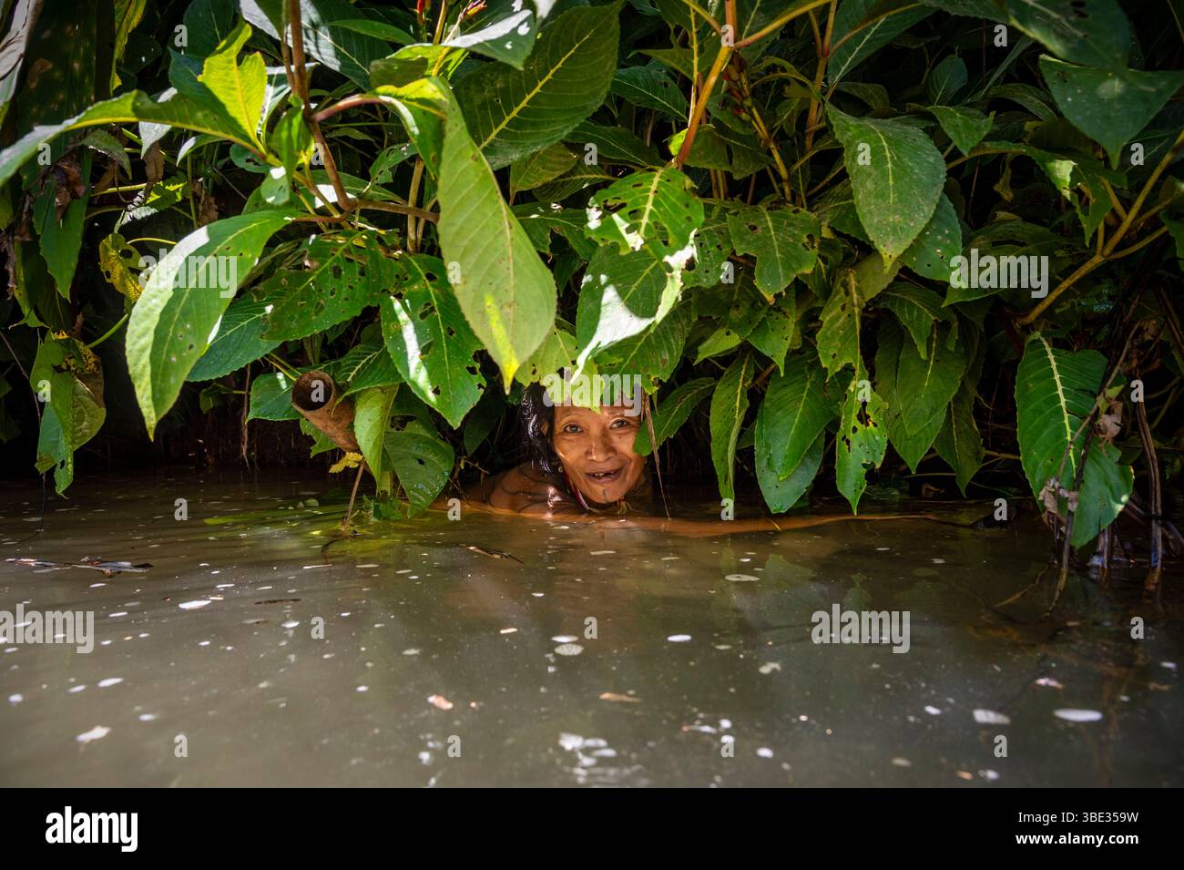 Indonesia, Mentawai Archipelago, Siberut Island, Siberut National Park ...