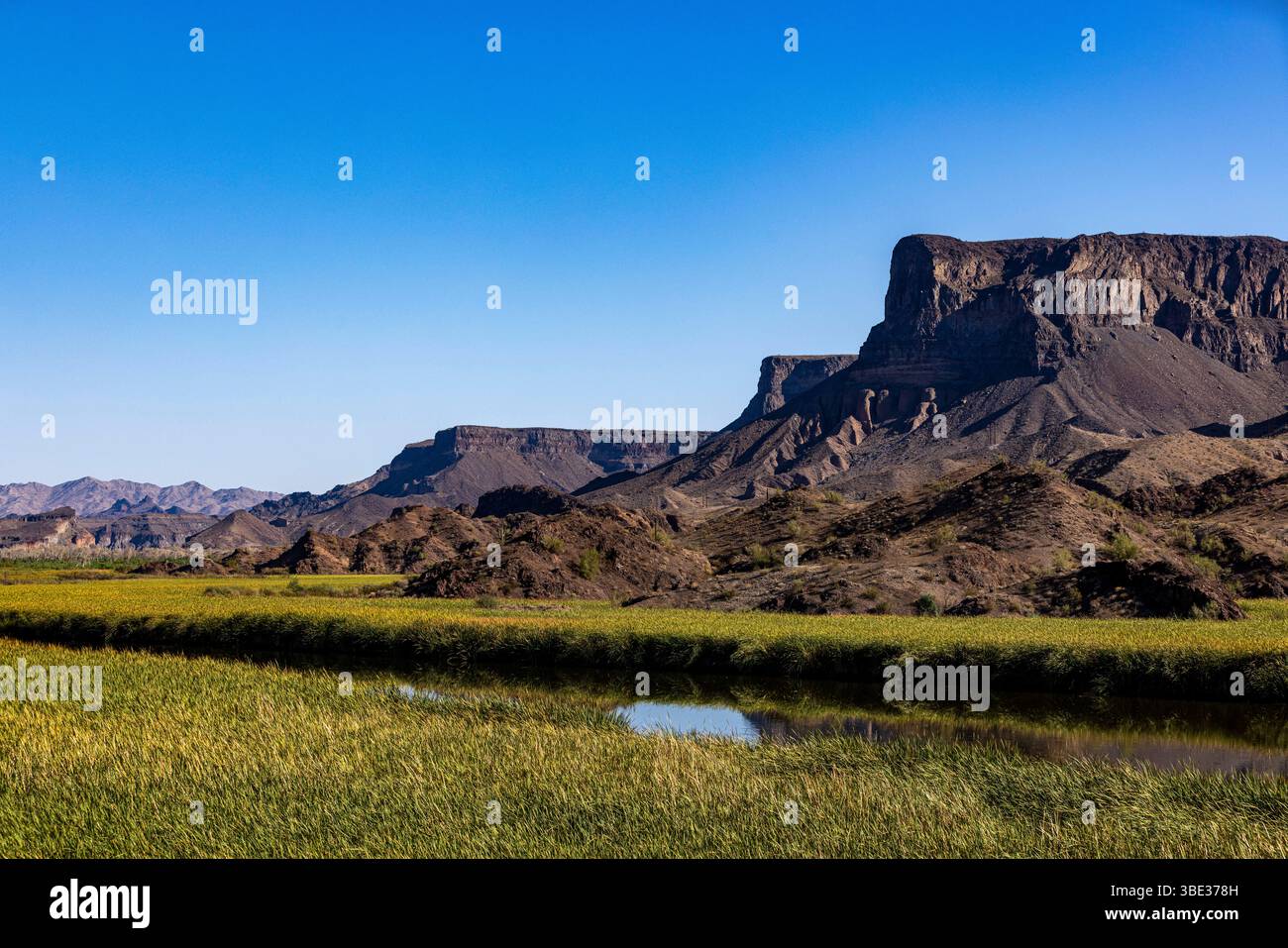 United States, Arizona, Topock Marsh, Colorado River Stock Photo - Alamy