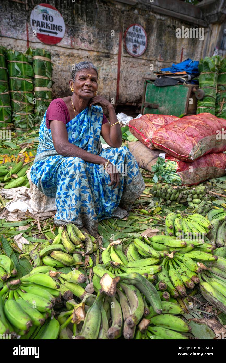 India, Pondichery, Goubert market Stock Photo - Alamy