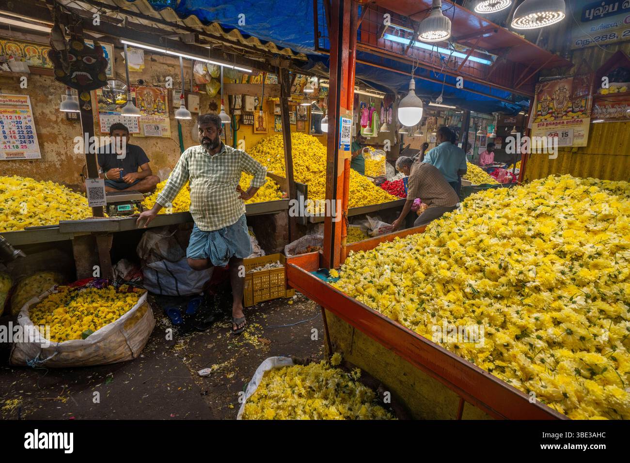 India, Pondichery, Goubert market Stock Photo - Alamy