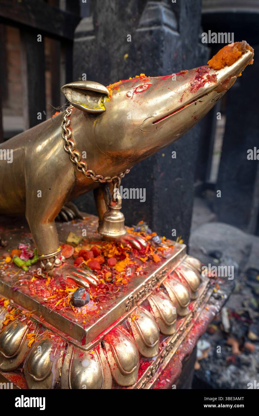 Nepal, Kathmandu, offerings to the rat God Mushika Stock Photo - Alamy