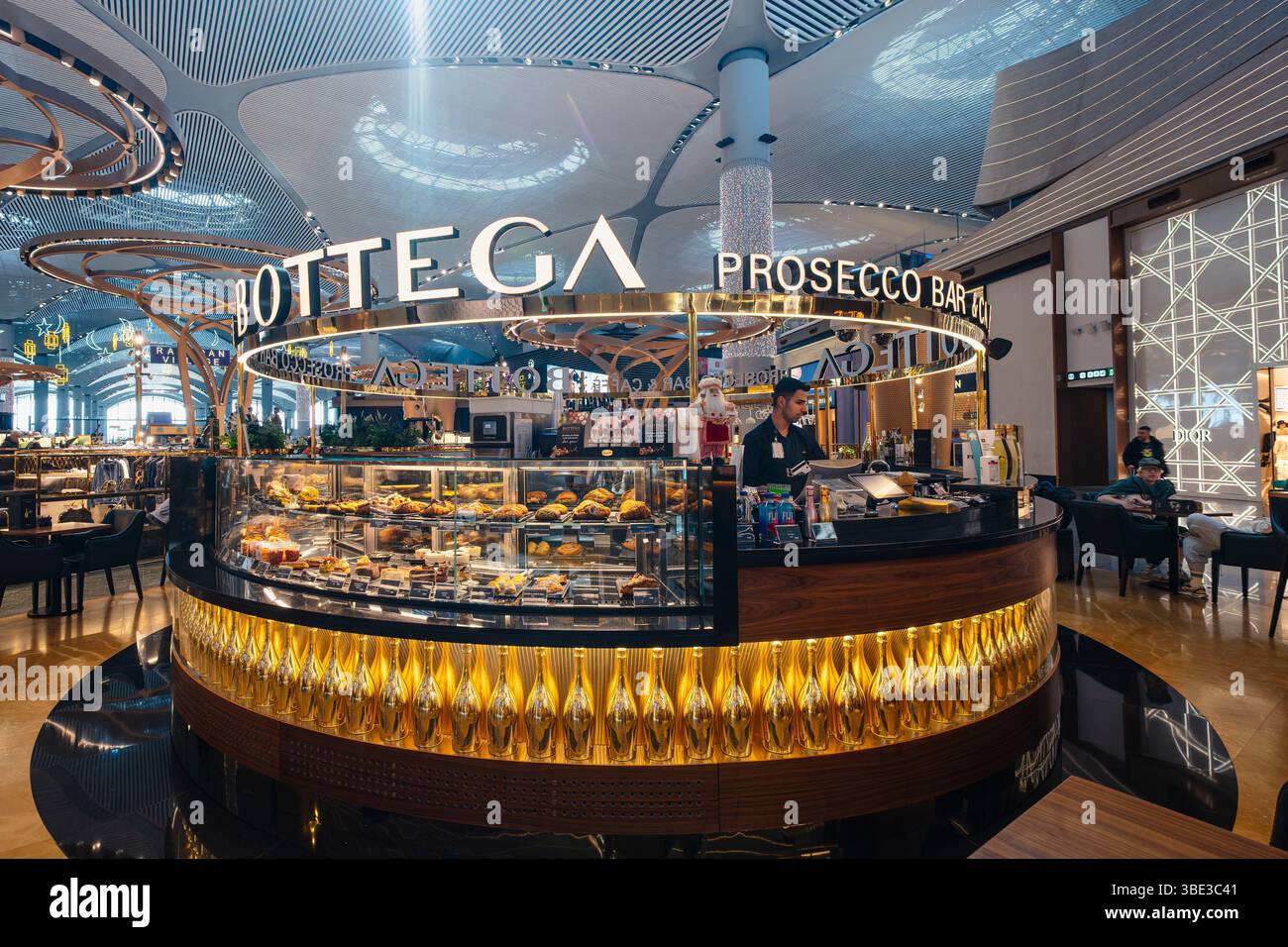 Turkey, Marmara region, Istanbul, Istanbul International Airport ...