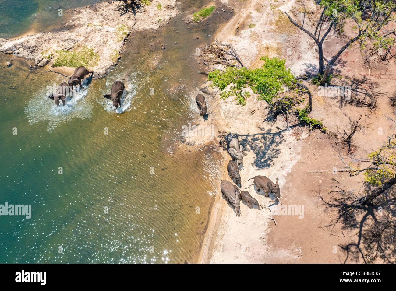 Zimbabwe, Matabeleland septentrional province, Hwange district, African ...