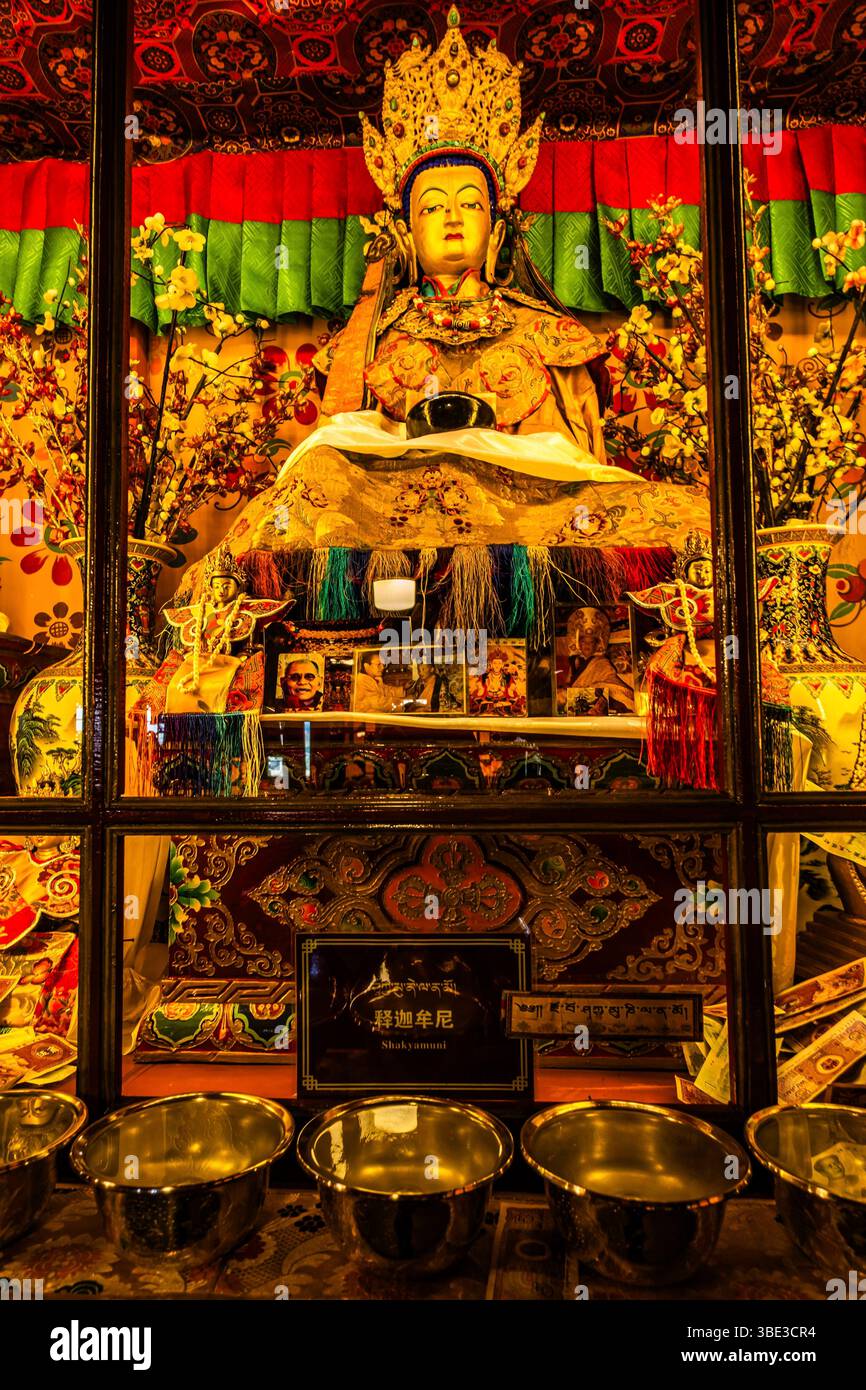 China tibet nechung monastery statue hi-res stock photography and ...