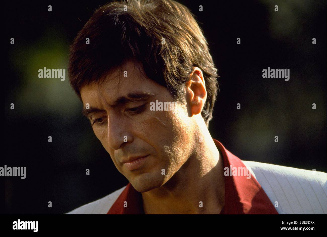 Scarface Year : 1983 USA Director : Brian De Palma Al Pacino Stock ...