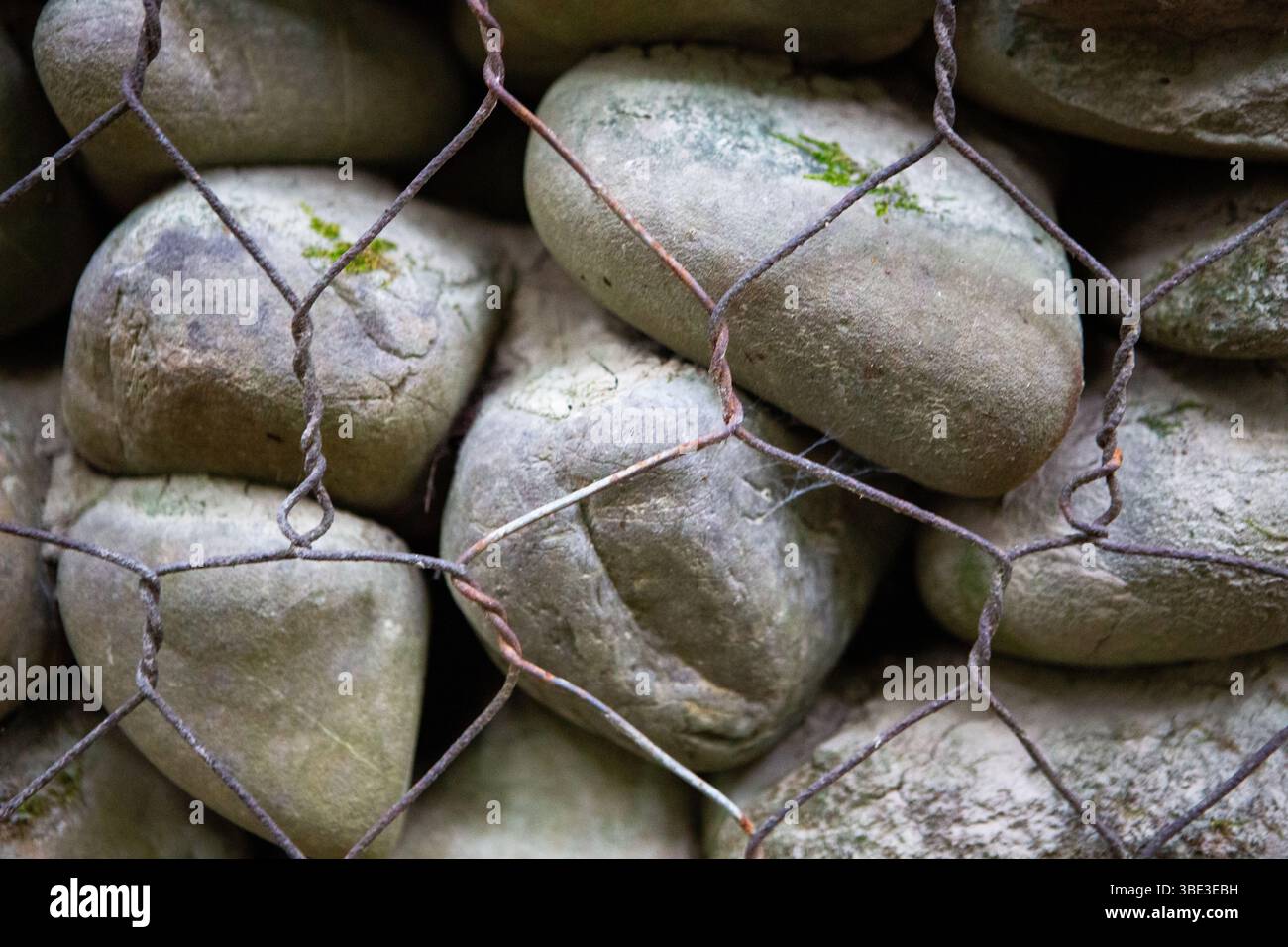 Gabion wall close up displaying textured river stones wire mesh Stock ...