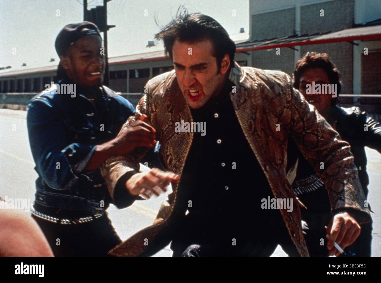 Wild at Heart Year : 1990 USA Director : David Lynch Nicolas Cage ...