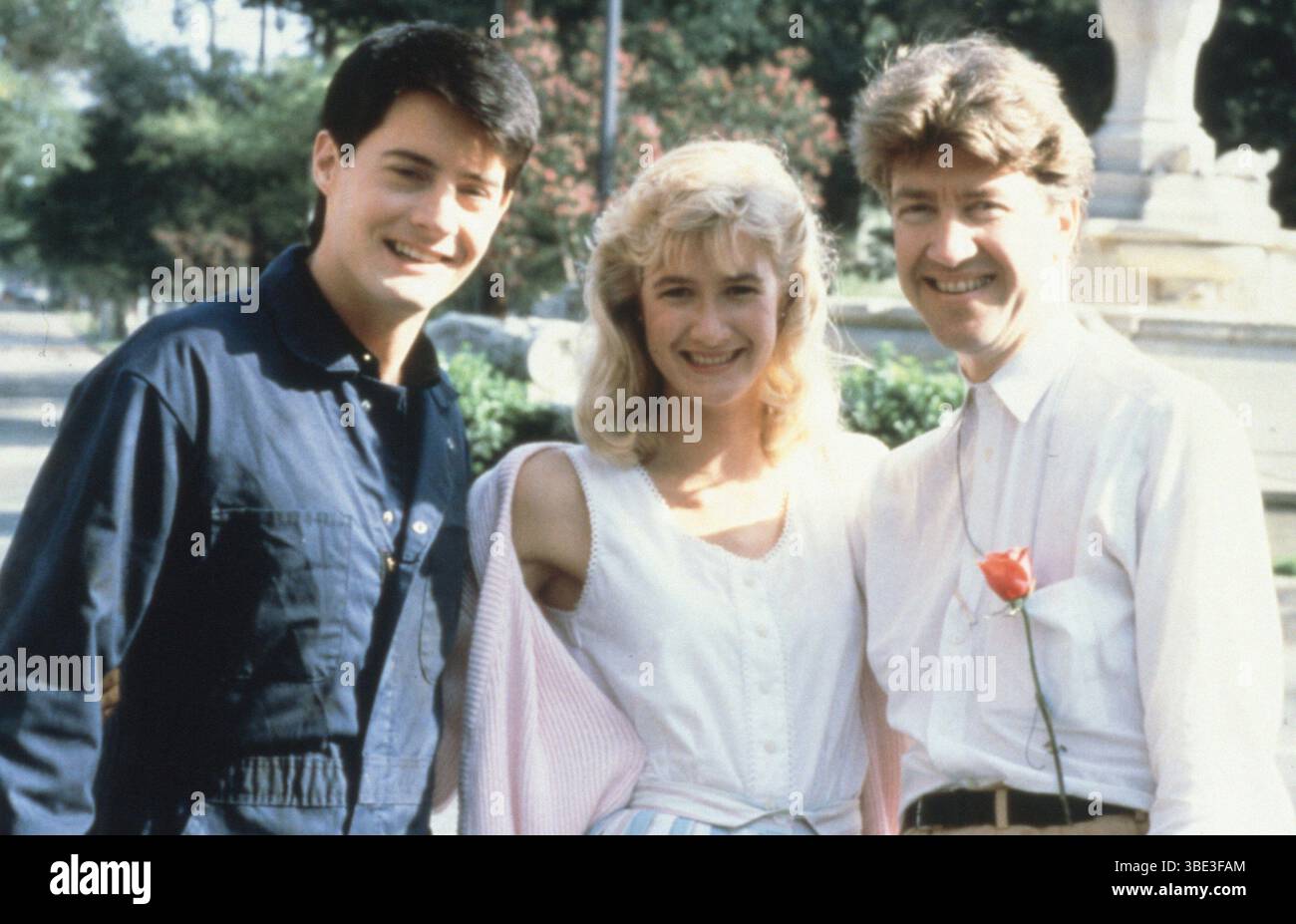 Blue Velvet Year : 1986 USA Director : David Lynch Kyle MacLachlan ...