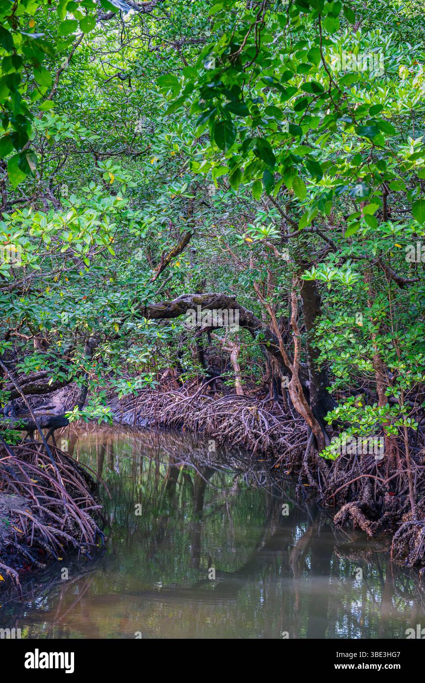 Thailand, Ranong province, Ko Chang island (or little Ko Chang ...