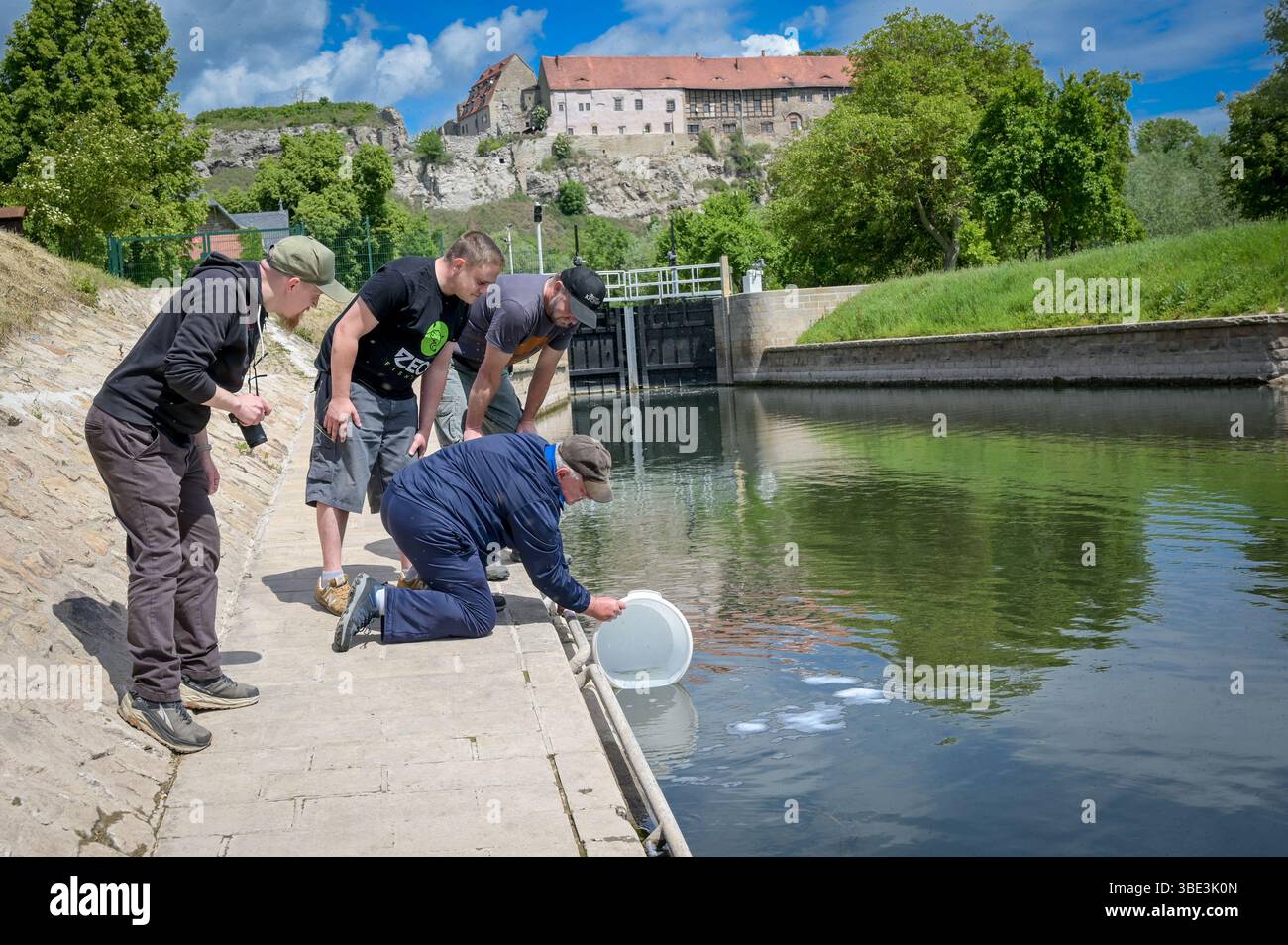 Young chris martin hi-res stock photography and images - Alamy