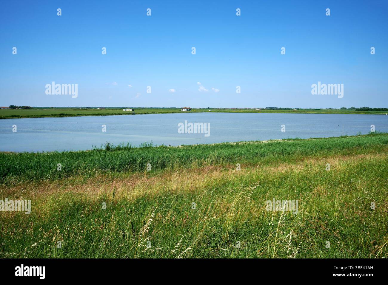 Gorino hi-res stock photography and images - Alamy