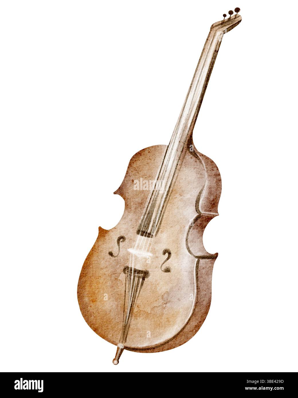 Hand-drawn watercolor of a double bass, isolated on white. Depicts ...
