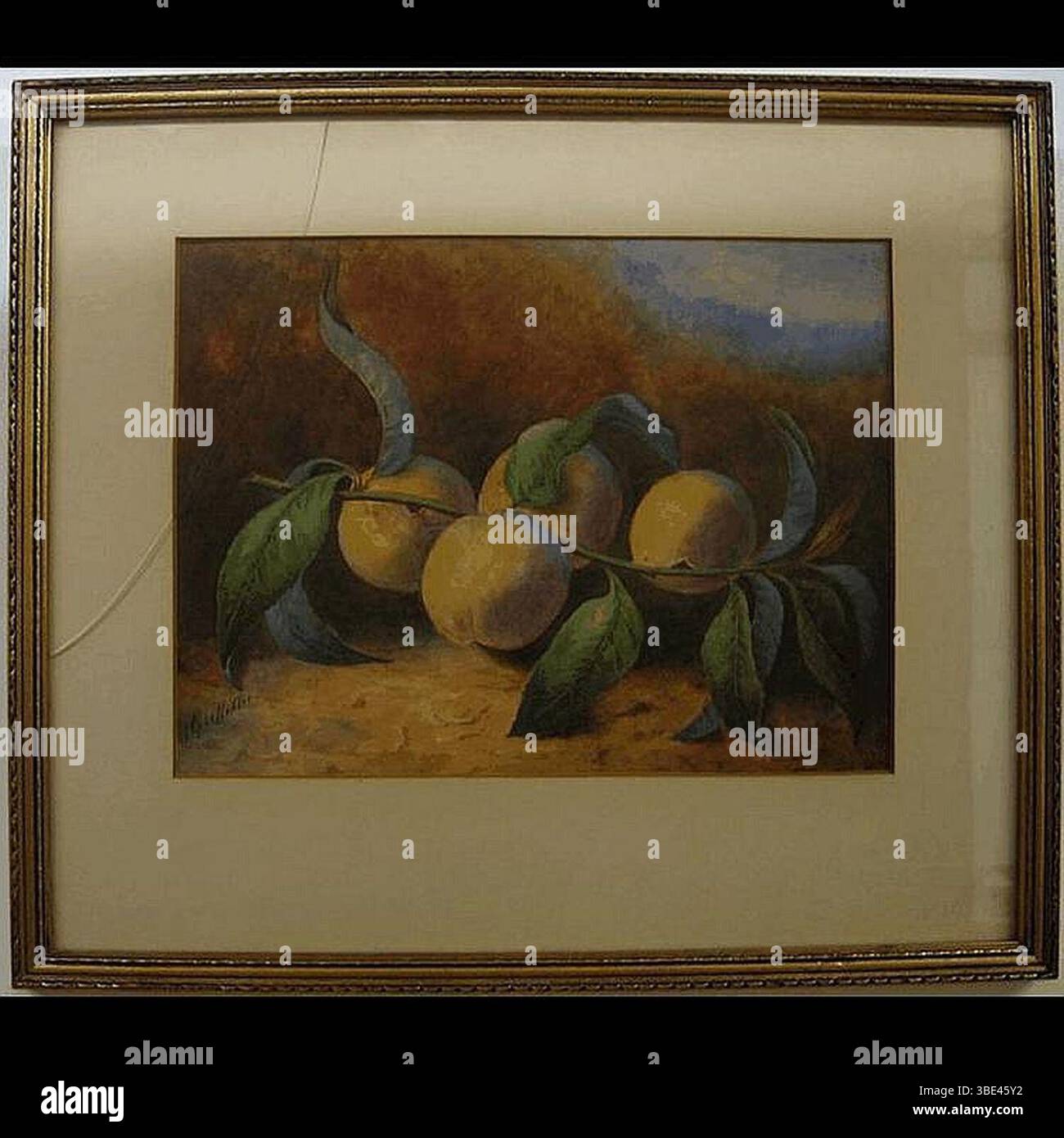 James Griffiths - 3e88f286b9 Stock Photo - Alamy