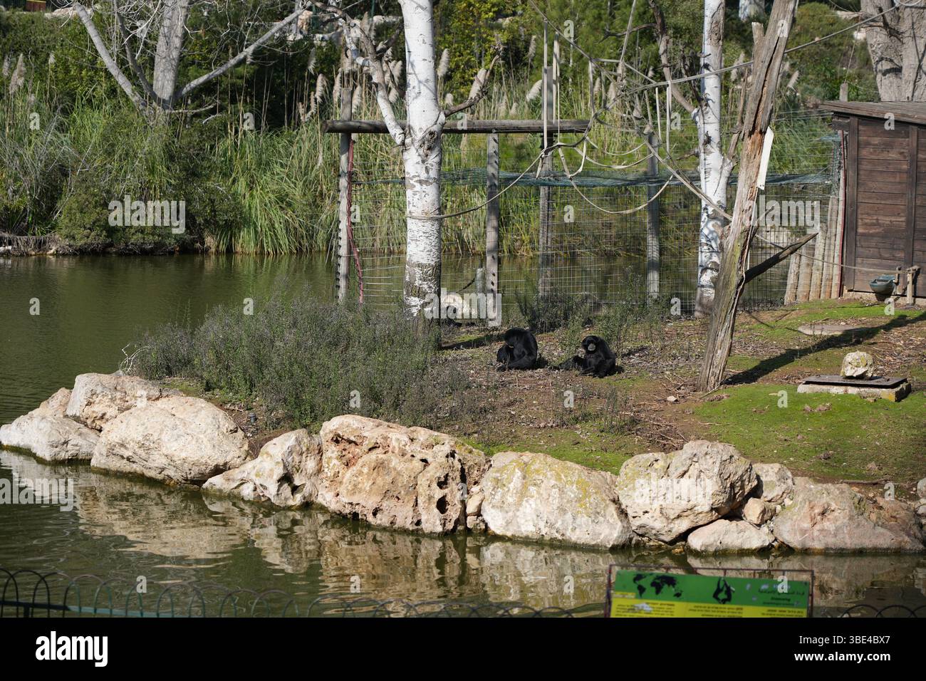The Tisch Family Biblical Zoo in Jerusalem the Jerusalem Biblical Zoo ...