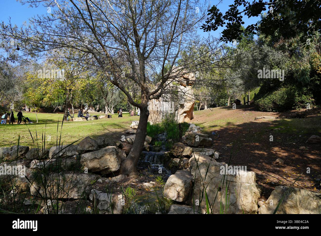 The Tisch Family Biblical Zoo in Jerusalem the Jerusalem Biblical Zoo ...