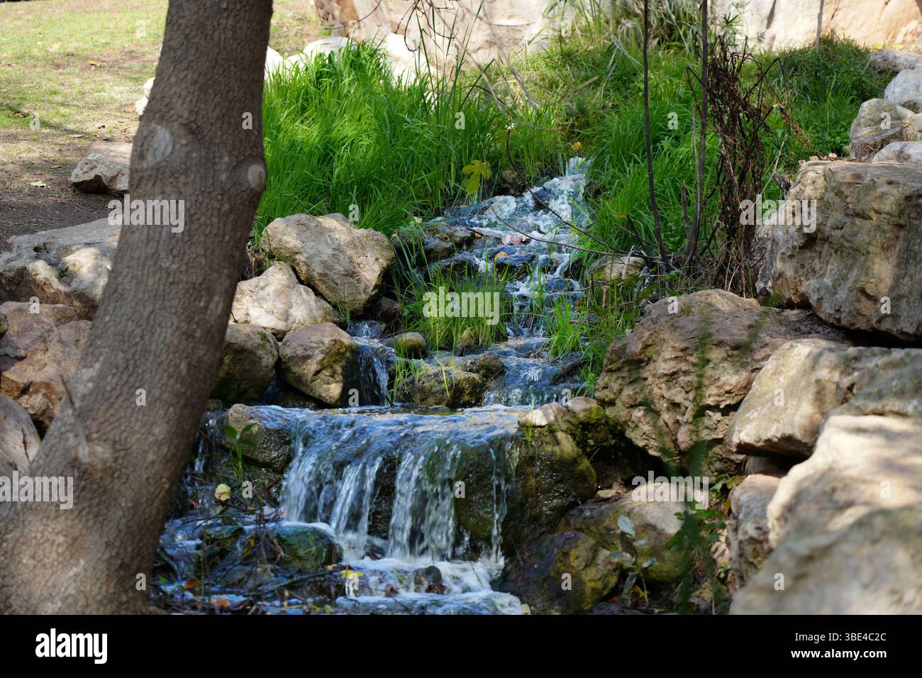 The Tisch Family Biblical Zoo in Jerusalem the Jerusalem Biblical Zoo ...