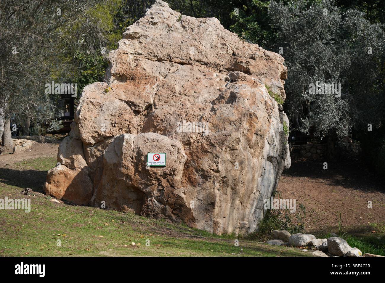 The Tisch Family Biblical Zoo in Jerusalem the Jerusalem Biblical Zoo ...