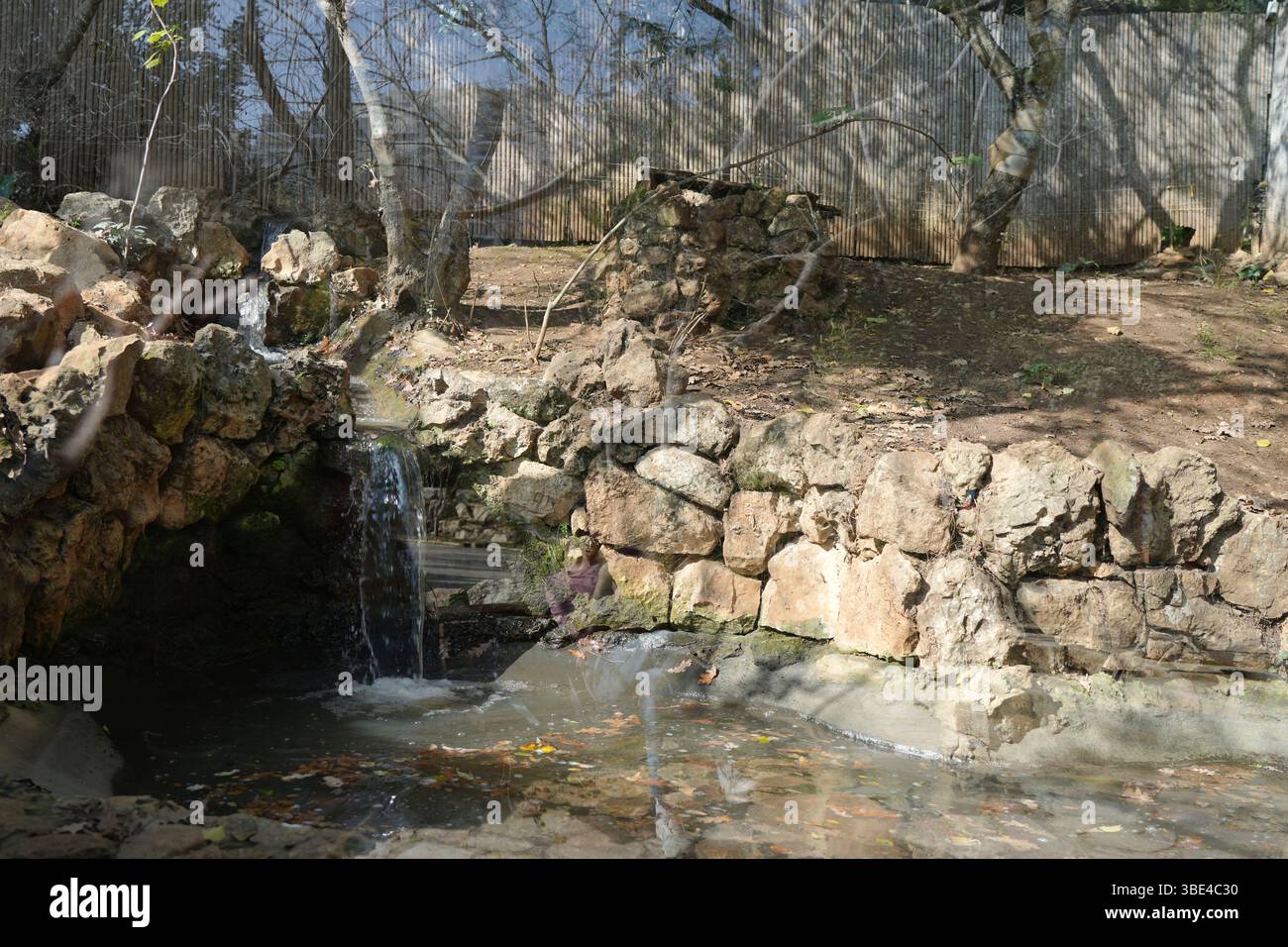 The Tisch Family Biblical Zoo in Jerusalem the Jerusalem Biblical Zoo ...