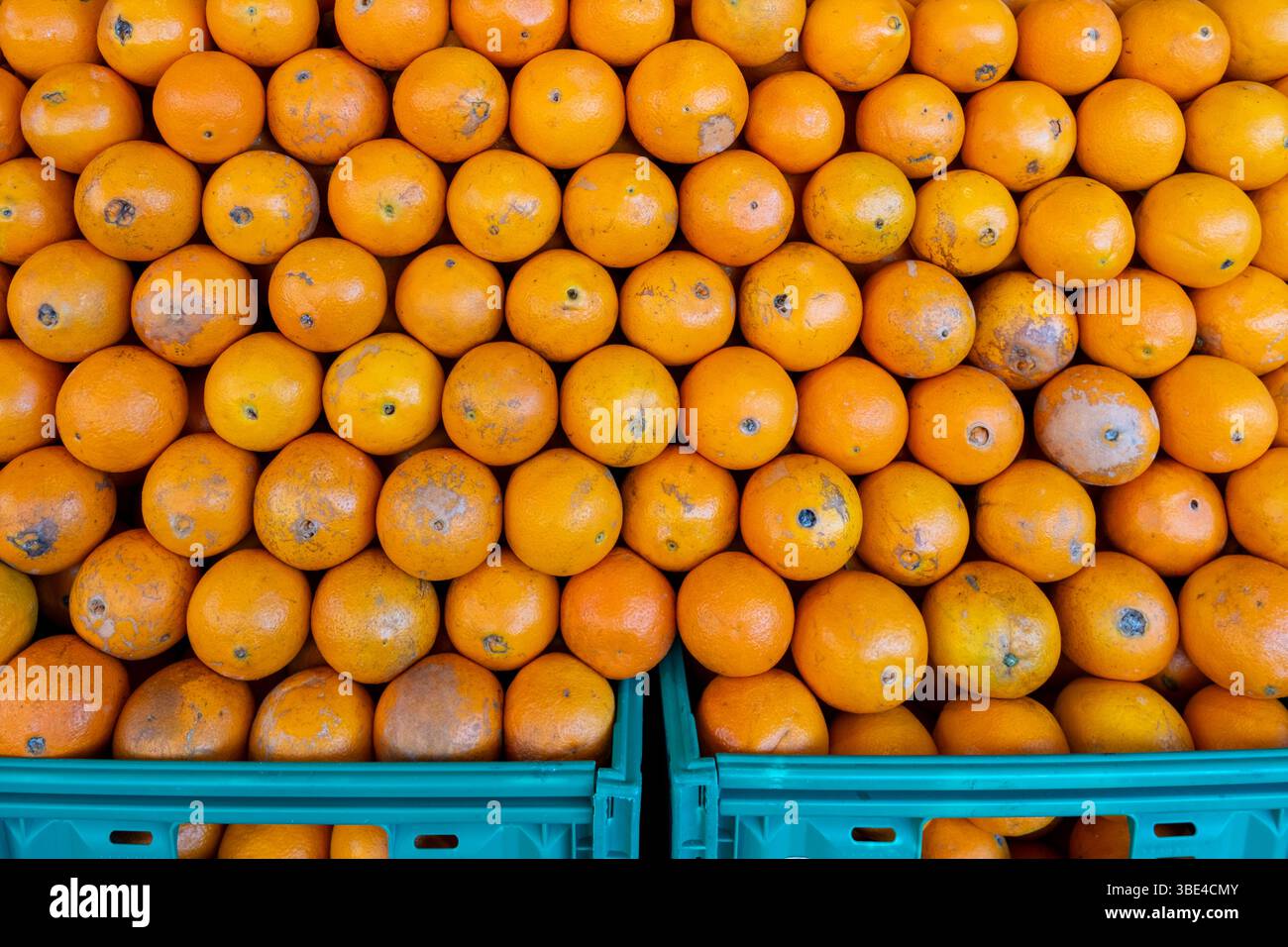 Citrus Delight: A Colorful Display of Oranges Stock Photo - Alamy