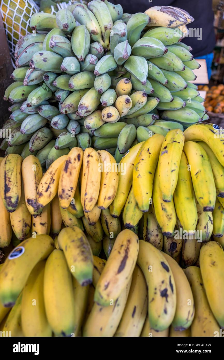 Table full of bananas hi-res stock photography and images - Alamy