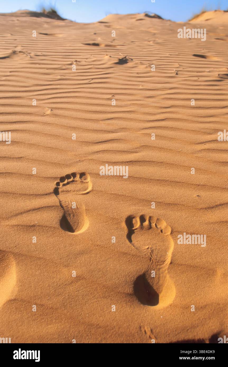 Human footprint in wet hi-res stock photography and images - Alamy