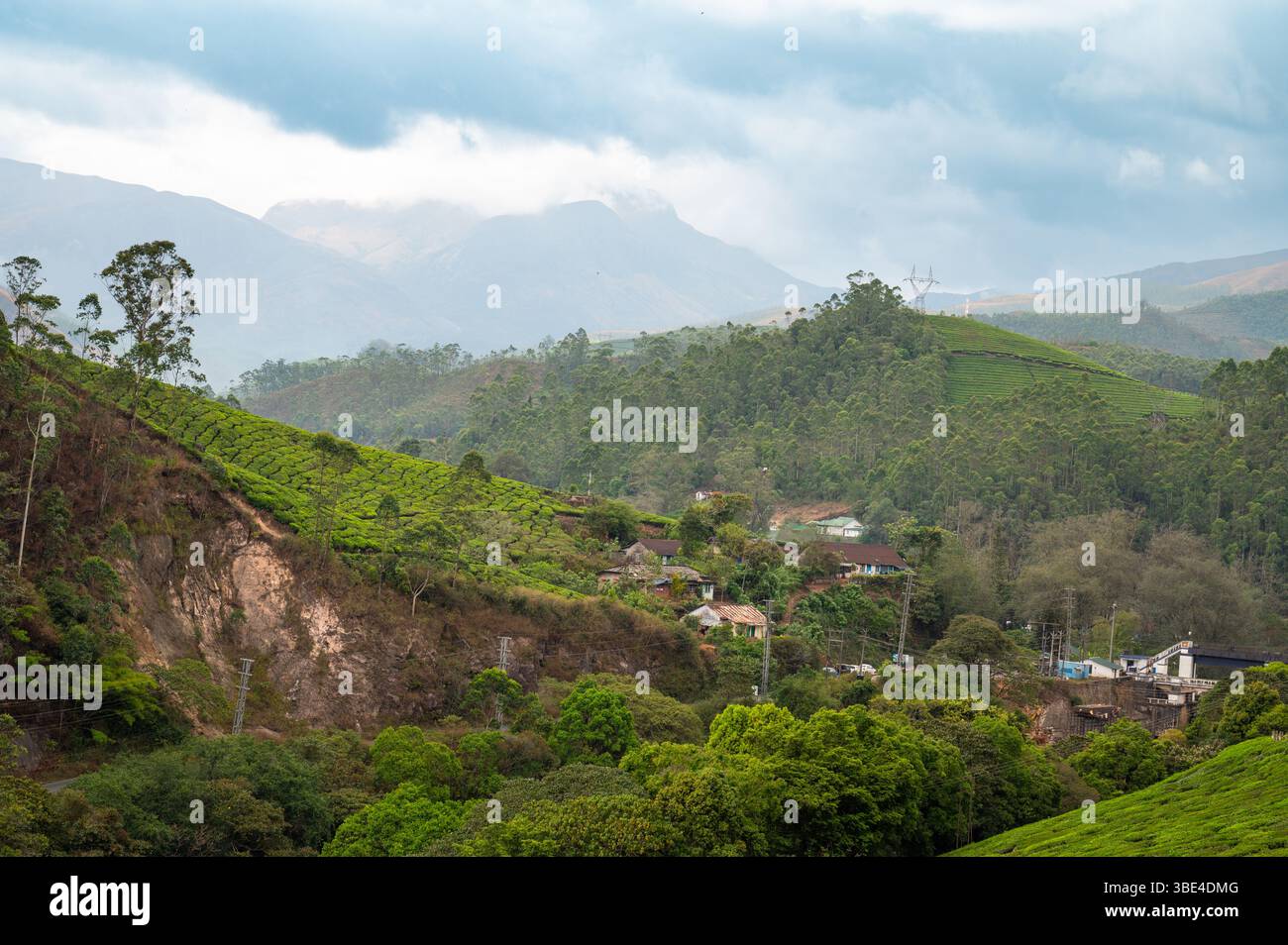 Munnar city with tea plantation, South India, landscape with fields in ...