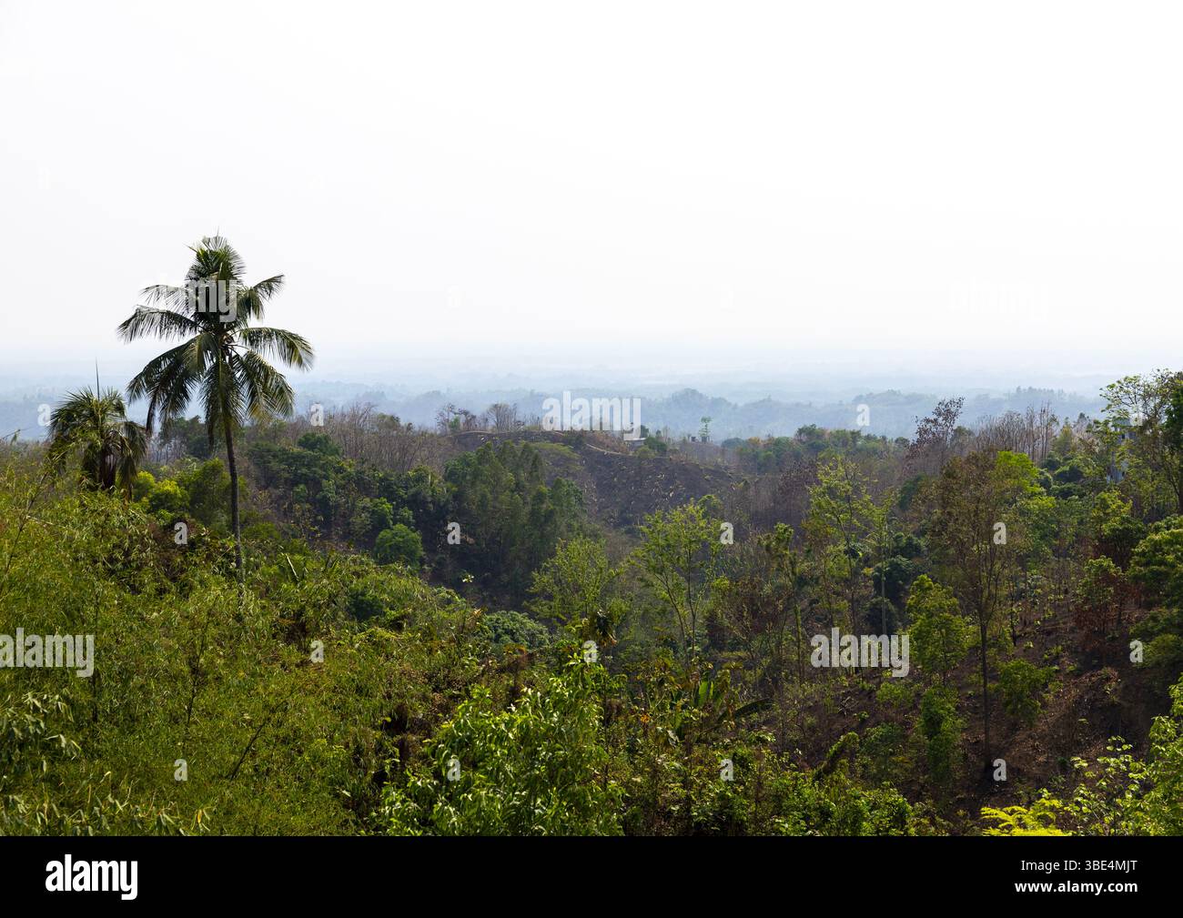 Forest landscape in the hills, Chittagong Division, Bandarban ...